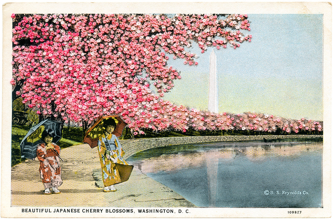 Japanese Cherry Blossom Art Cherry Blossom Art Stock Illustrations