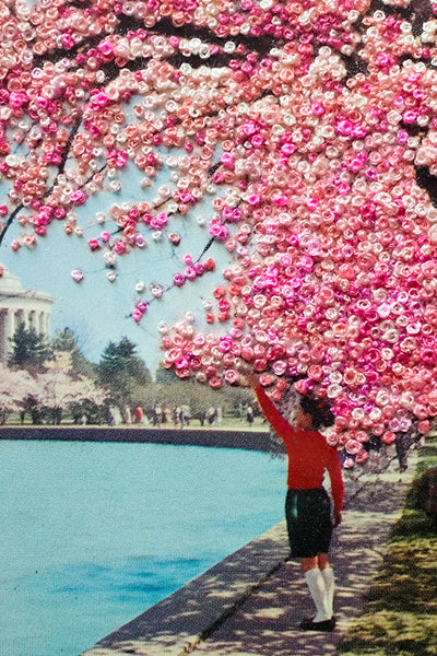 Spring Collection – han cao