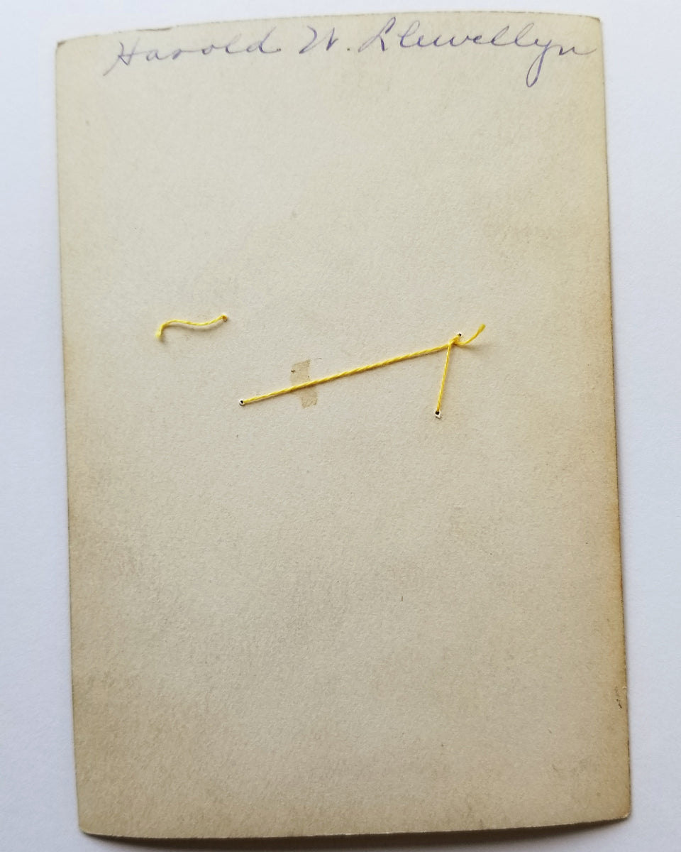 Quarantine Collection - Pt. 33, Harold – han cao